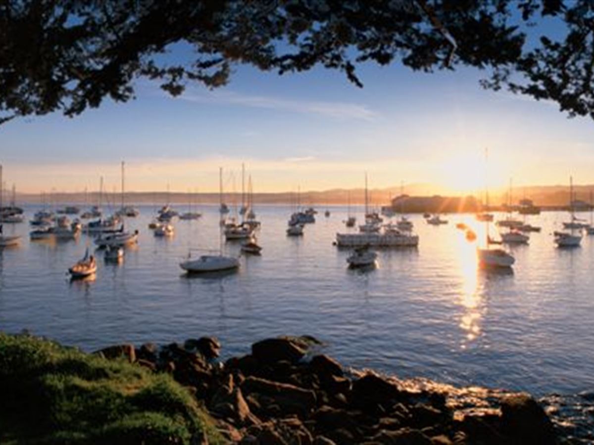 A Virtual Visit: Monterey Bay Webcams A Virtual Visit: Monterey Bay Webcams